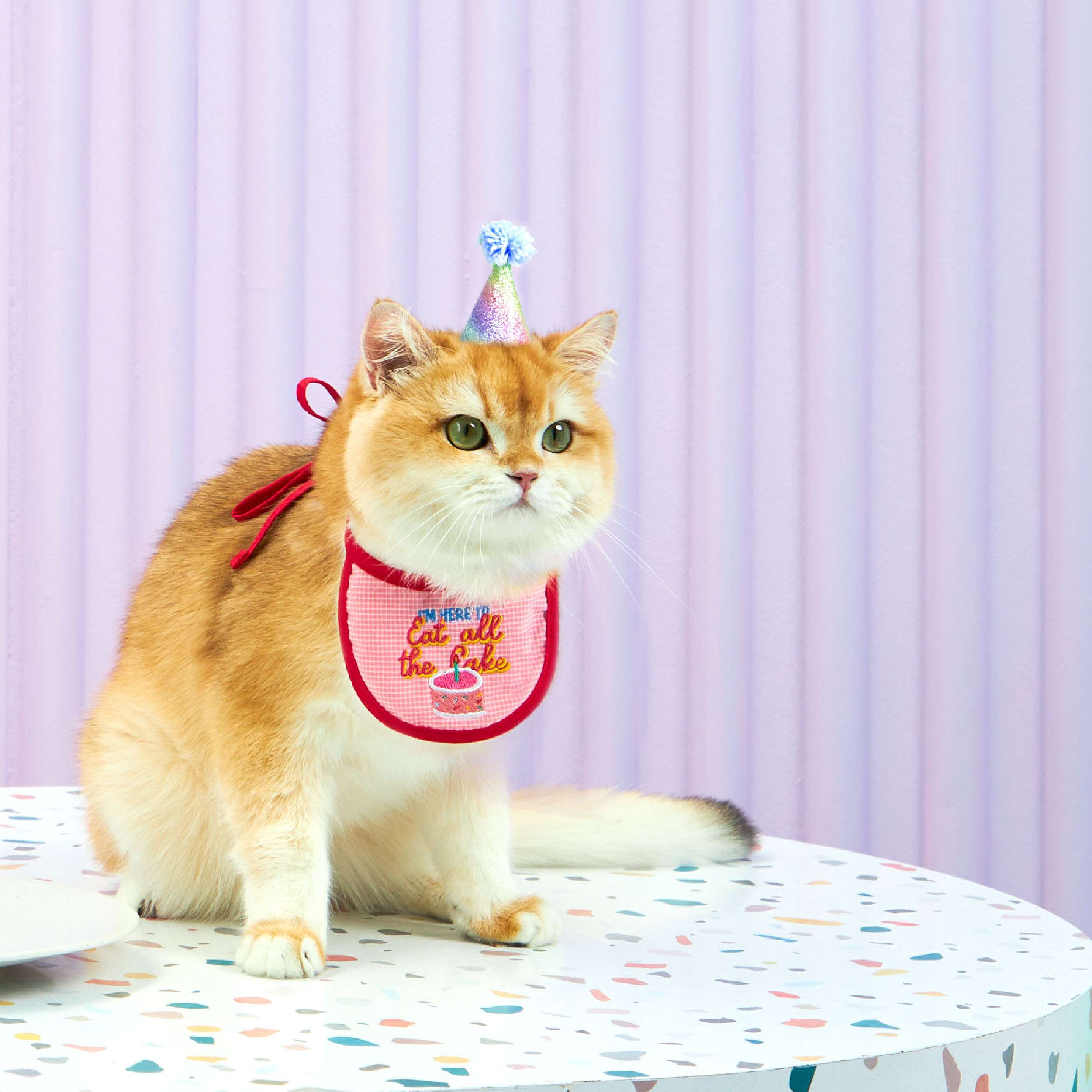 Bib Bib Hooray! Pet bib – Doggu pets