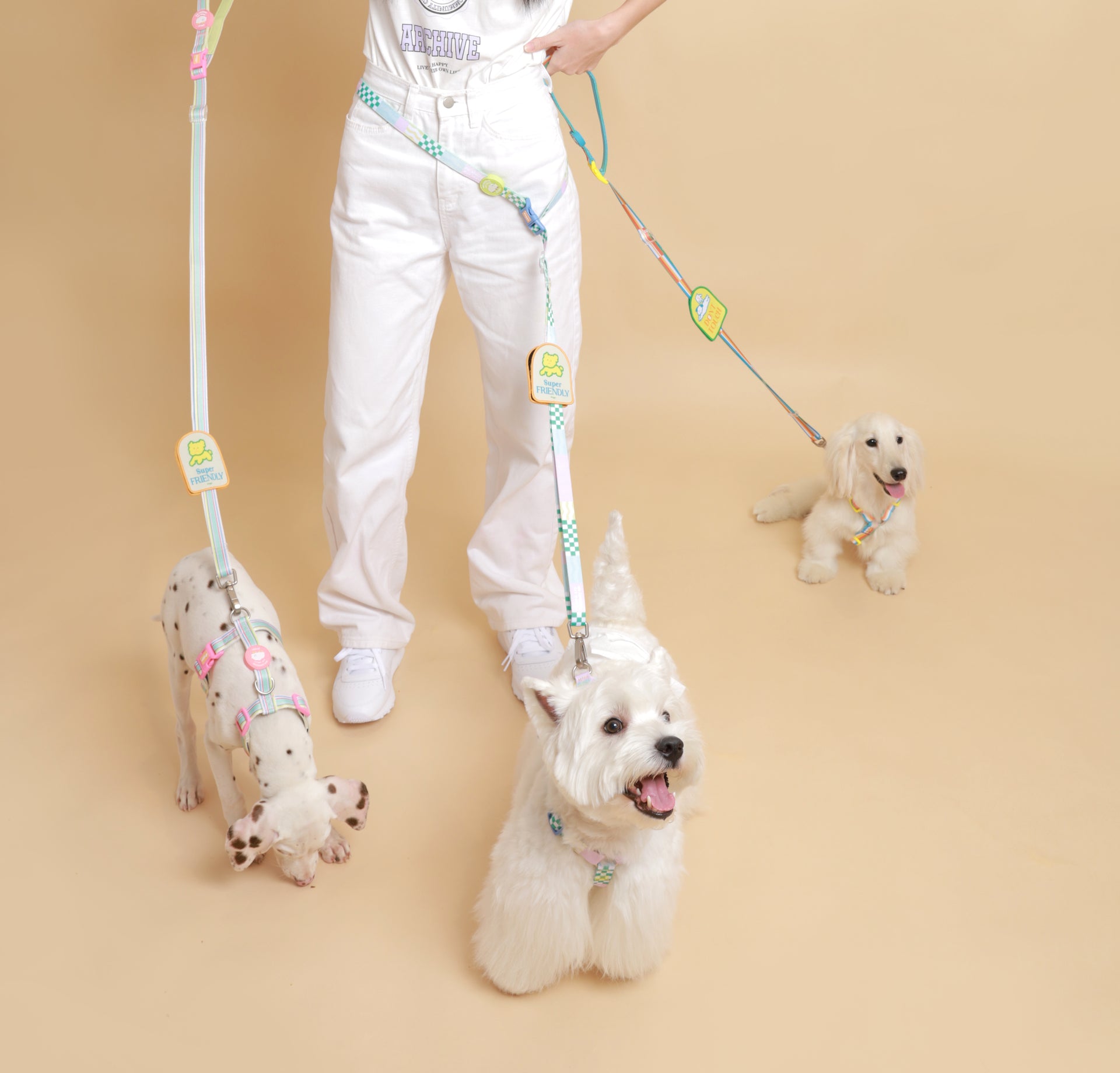 Doggu Everyday from head-to-toes-to-tail – Doggu pets