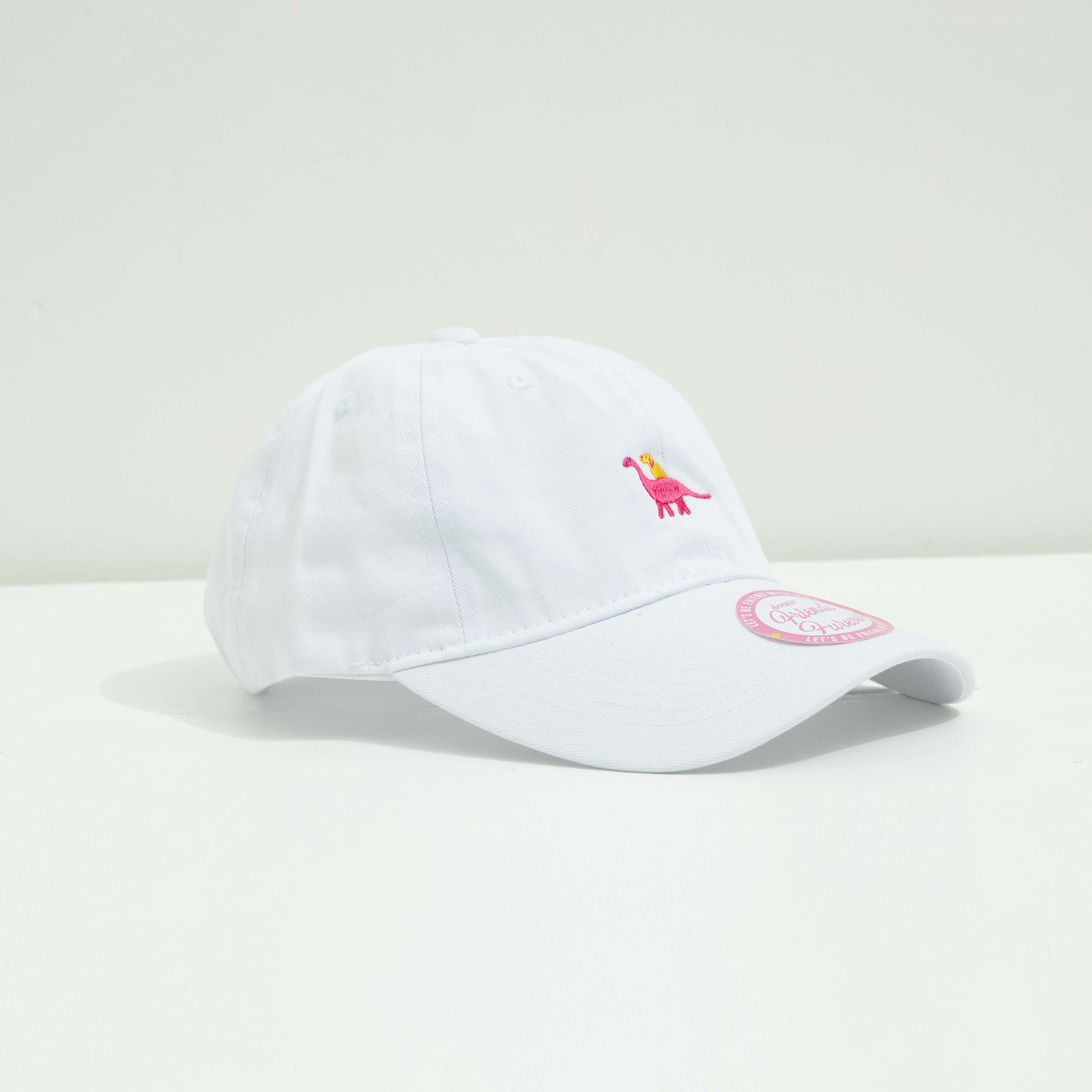 Every Season Cap : Friends with the Dino (White) – Doggu pets