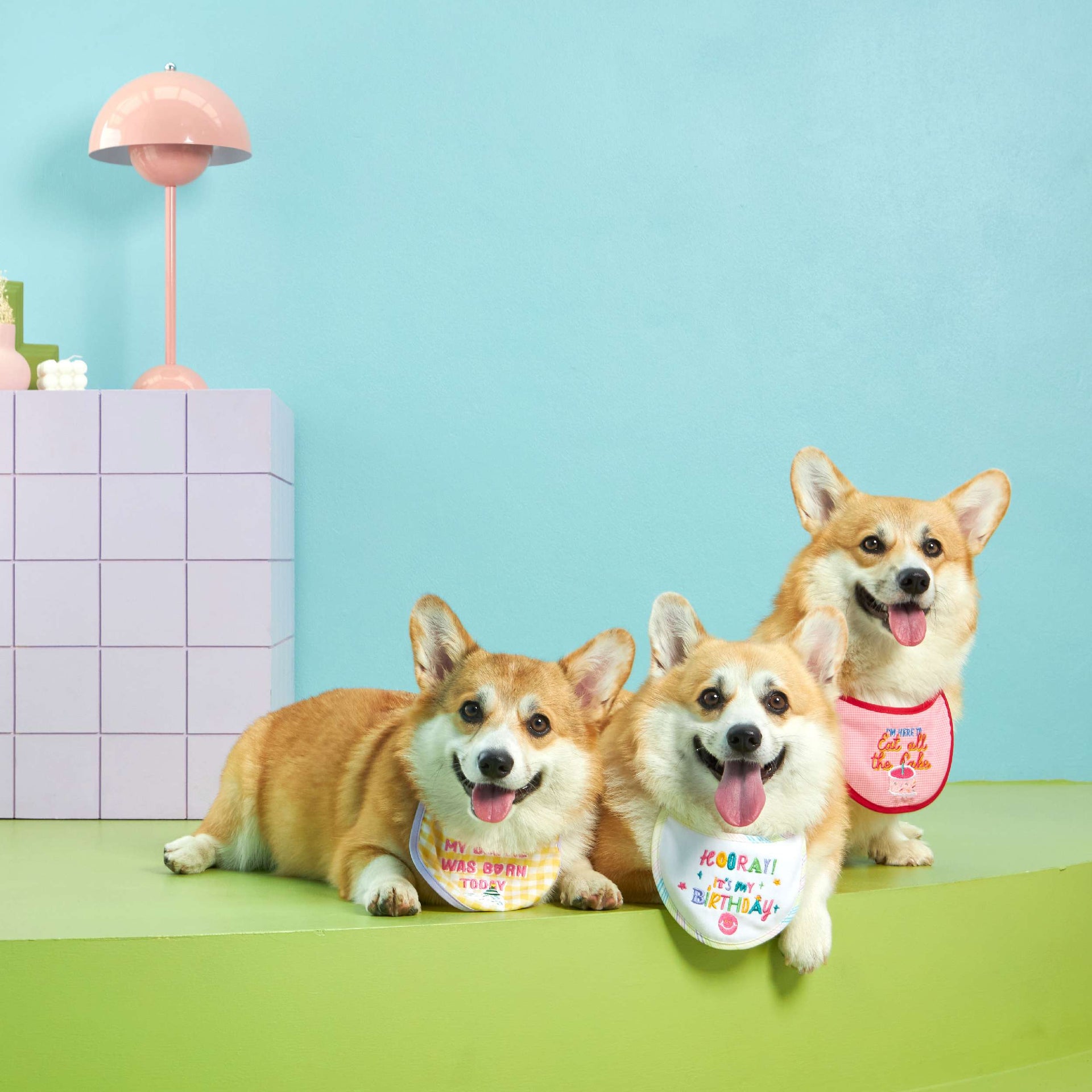 Products – Doggu pets